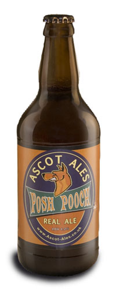 Ascot Ales Posh Pooch Beer from United Kingdom seeking for distributors