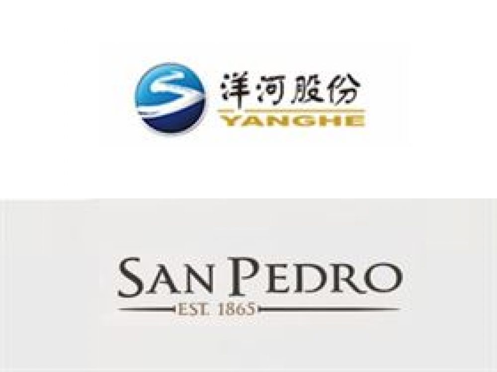 China’s Yanghe Buys Stake in Chile’s Viña San Pedro